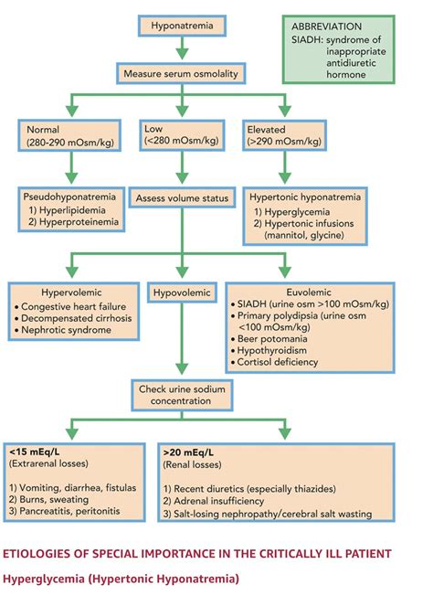 Etiology Of Hyponatremia In Critical Care Flowsheet Alexis Dial Dnp Fnp Enp