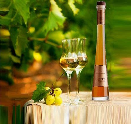 CASA VALDUGA APRESENTA GRAPPA EM NOVA IDENTIDADE VISUAL Mesa De Bar
