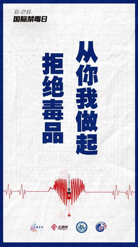 对毒品说 不”！澎湃号·政务澎湃新闻 The Paper