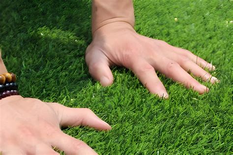 How To Clean Artificial Turf Frequency Matters Gardening Latest
