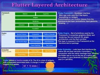 Flutter Pdf