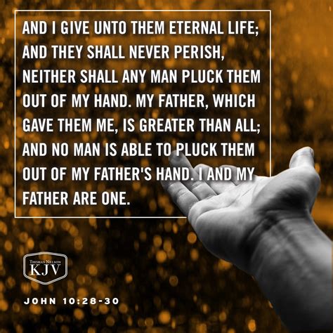 Kjv Verse Of The Day John 1028 30