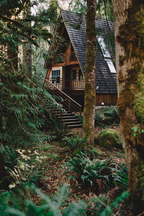 Hidden In The Trees R Cabinporn