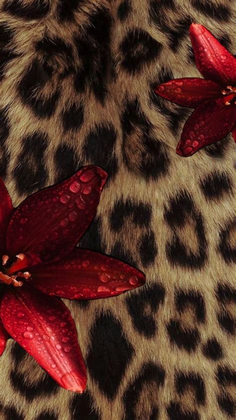 Pin By Fatima Yasser On Pins By You In 2024 Cheetah Print Wallpaper