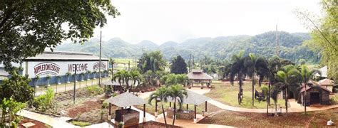 Joy Spence The Grande Dame Of Rum Saq Com