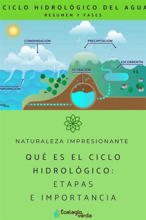 Qué Es El Ciclo Hidrológico Etapas E Importancia Resumen Y VÍdeo