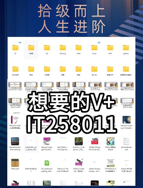 2025全套编程教程各方向视频合集（电子书网课视频实战项目软件安装）不要米 哔哩哔哩