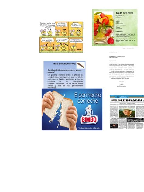 B Bbbbbb Pdf