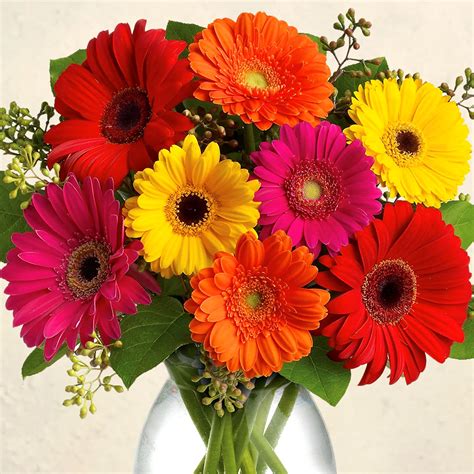 Online Heavenly Multicoloured Gerberas Vase Arrangement T Delivery