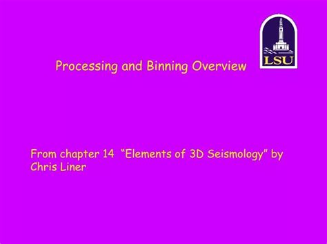 ppt processing and binning overview powerpoint presentation free
