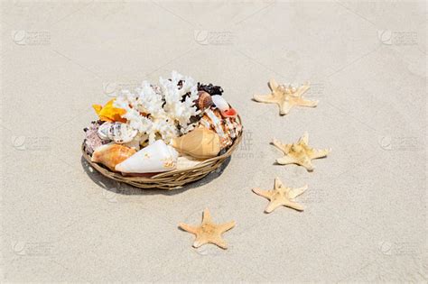 贝壳，珊瑚和海星在金色的沙滩上。暑假的概念