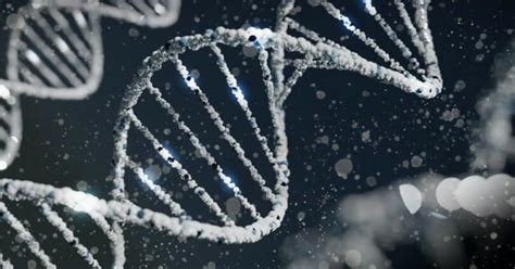 Useful Information You Should Know About Gateway Cloning Bibloteka