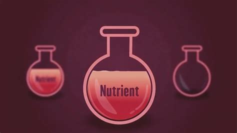 Alphabites Review ⚠️watch This ⚠️ Alphabites Male Enhancement Gummies Alphabites Youtube