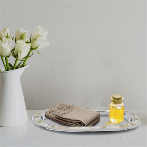 Nu Steel Amenity Tray Mirror Finish Contemporary Bathroom