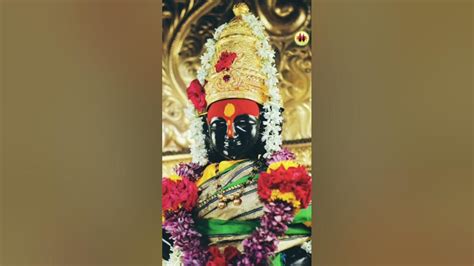 🚩🚩🚩श्री विठ्ठल व रुक्मिणीमाता दर्शन शनिवार दि ०३ जून २०२३🌸नित्य पुजा🌸🚩