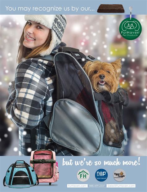003 PetInsight Pet Insight