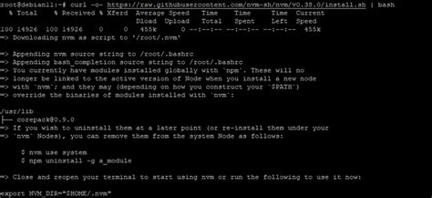 How To Install Nodejs And Npm On Debian 11