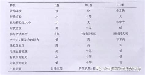 力量干货肌肉的功能与类型 知乎