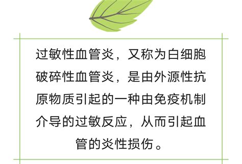 过敏性血管炎一种不容忽视的小血管炎症 知乎