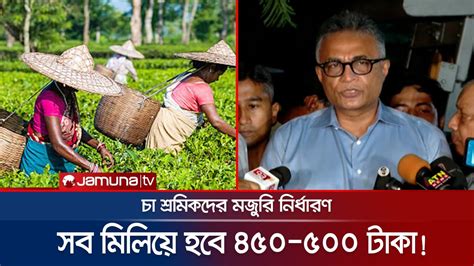 সব মিলিয় চা শ্রমিকদের মজুরি হবে ৪৫০ ৫০০ টাকা কিন্তু কীভাবে Tea