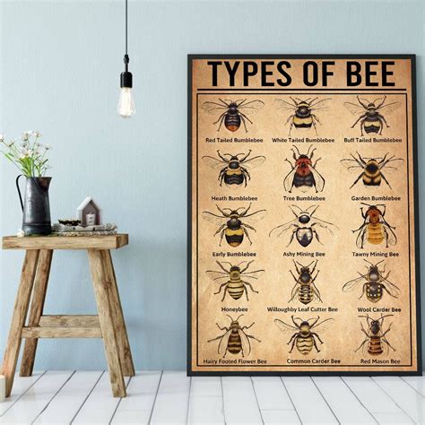 Types Of Bee Poster Printable Bee Art Print Bee Poster Etsy