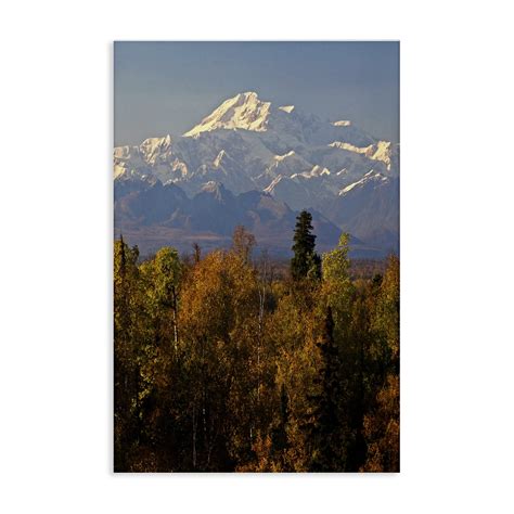 Stupell Industries Danali Autumn Landscape Landscape And Nature