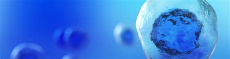 Stem Cell Enumeration Kit Reagents
