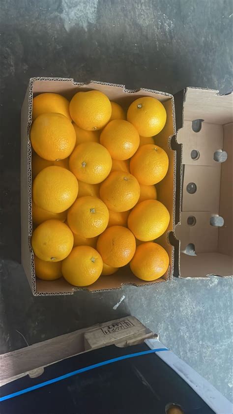 Ivan Hrkac On Linkedin Valencia Orange From South Africa Available In