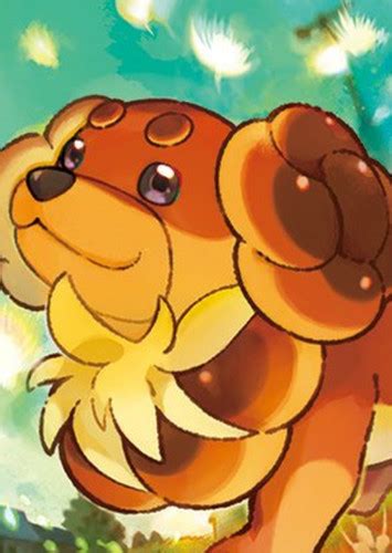Dachsbun バウッツェル Fan Casting For Fictional Characters By Pokémon Buddy Mycast Fan Casting