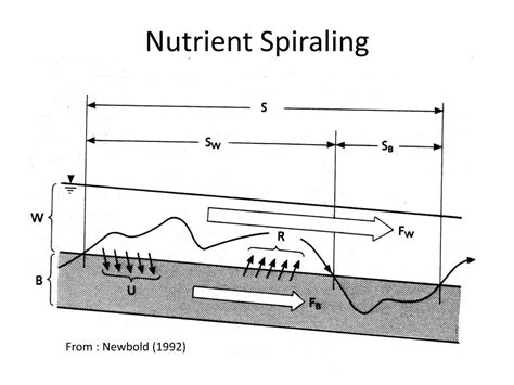 Ppt Stream Nutrient Processing Spiraling Removal And Lotic