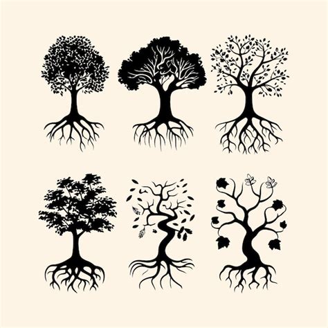 Premium Vector Tree With Roots Black Silhouette Different Types Of
