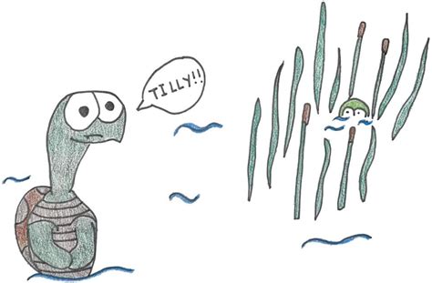 A Turtles Tail Tilly Turtle And The Leach • Tomorrows Earth Stewards