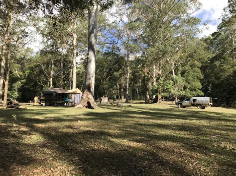 Kroombit Tops National Park Parks And Forests Department Of