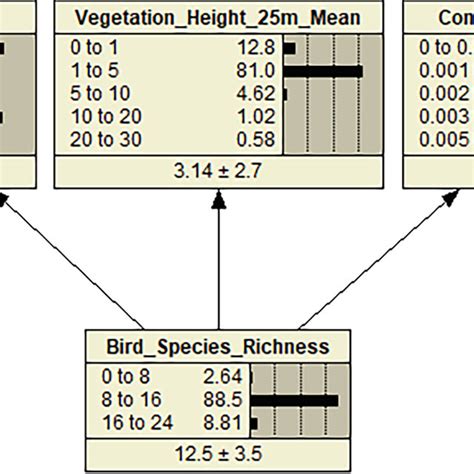 Example Bayesian Belief Network Model Structure For Bird Species Download Scientific Diagram