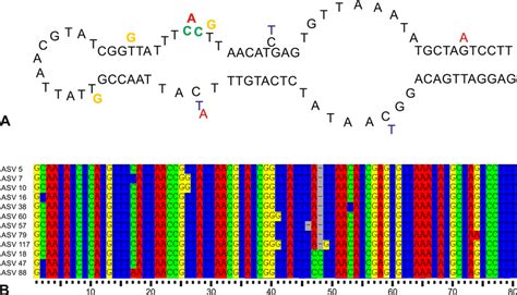Secondary Dna Structure Of The 37f Hypervariable Region Of N Download Scientific Diagram