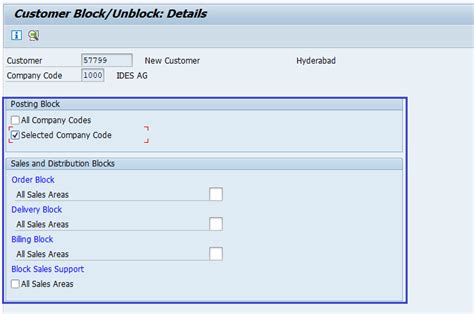 SAP FICO Block Customer