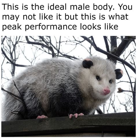 Peak Male Performance Rperfectlycutscreams
