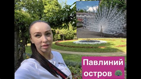 выходной день / павлиний остров / обед на свежем воздухе / любитель ли ...