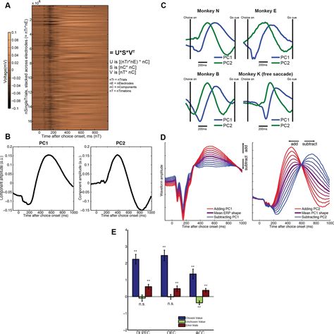 Capturing The Temporal Evolution Of Choice Across Prefrontal Cortex Elife
