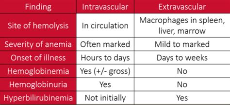 Regenerative Anemia Exam 1 Flashcards Quizlet