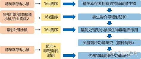 16s Rrna测序辐射幸存者的多组学分析确定辐射防护微生物和代谢物 知乎