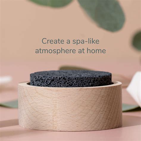 Lava Rock Passive Diffuser Plant Therapy