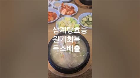 삼계탕 효능 원기회복 독소배출 피부미용 눈으로 맛보기 Youtube