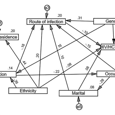 Pathway Model Predicts Correlative Factors For Co Infection With Hcv In Download Scientific