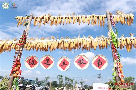 成都天府绿道公司开展迎国庆 贺中秋 庆丰收主题活动 青年工作 党群建设 成都天府绿道建设投资集团有限公司