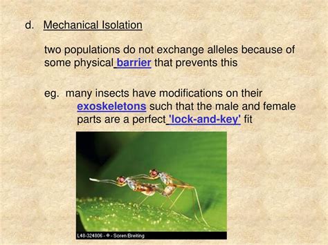 Ecological Isolation