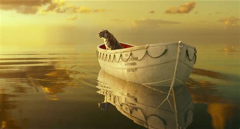 Life Of Pi Wallpapers Wallpaper Cave