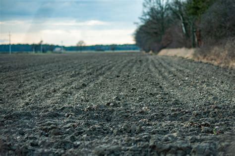 Ile kosztuje hektar ziemi rolnej w 2024 roku Szczegółowe dane GUS