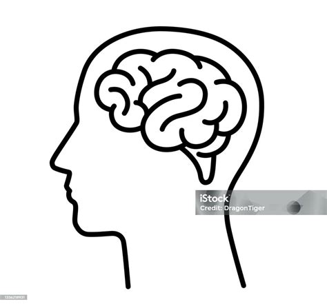 Brain And Human Head Icon向量圖形及更多圖示圖片 圖示 頭 人腦 Istock