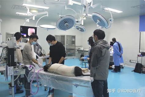 消化内镜手术机器人迎来新突破，robo成功完成新系统动物实验 知乎